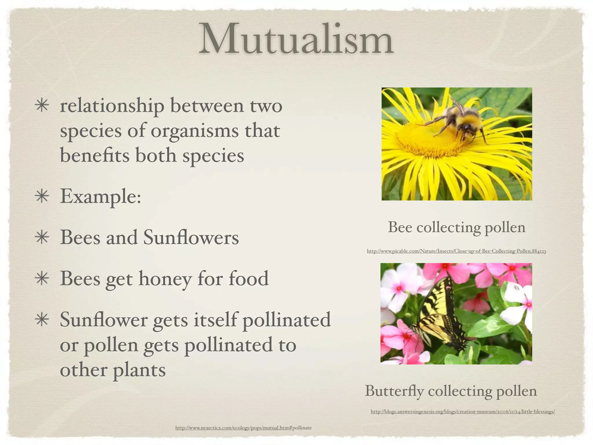 Biotic relationships | KEY