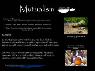 Biotic relationship - Group 3 | PPT