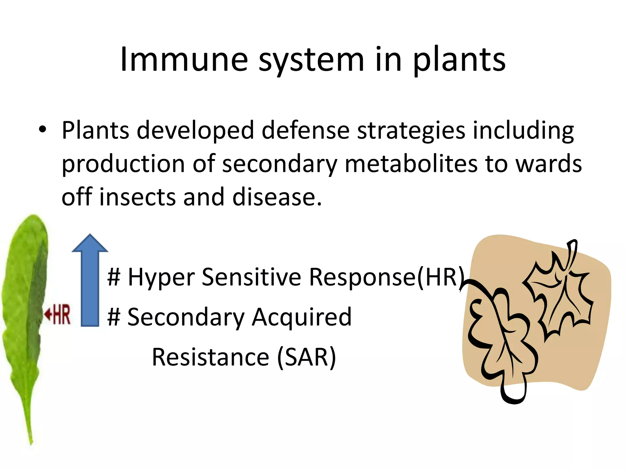 Biotic stress inside the plants molecular level | PPTX