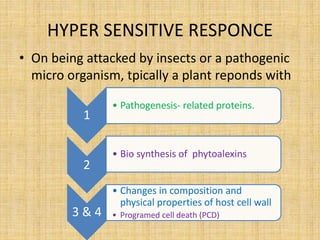 Biotic stress inside the plants molecular level | PPTX
