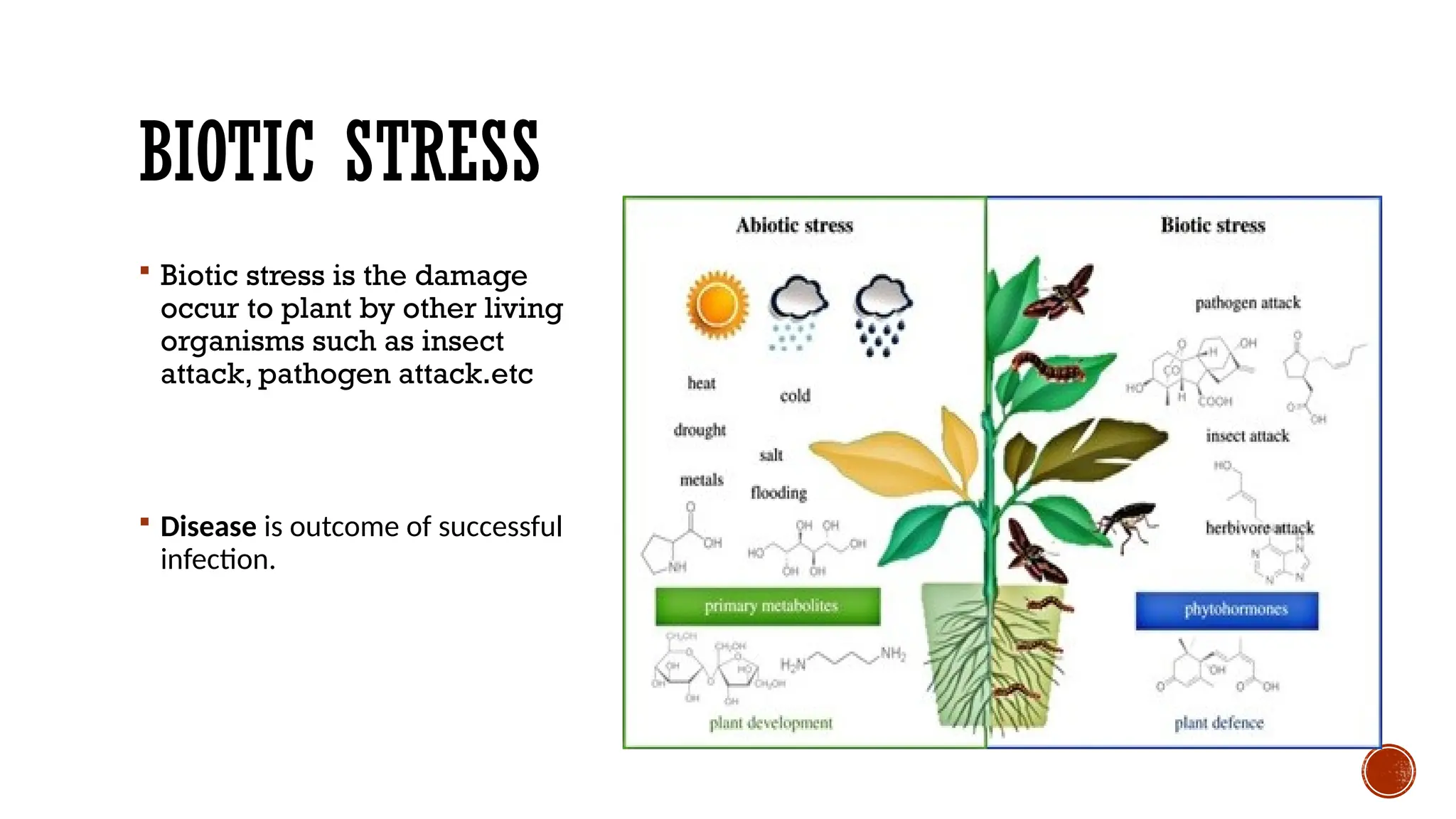 BIOTIC STRESS plant stress due to pathogen attack | PPTX