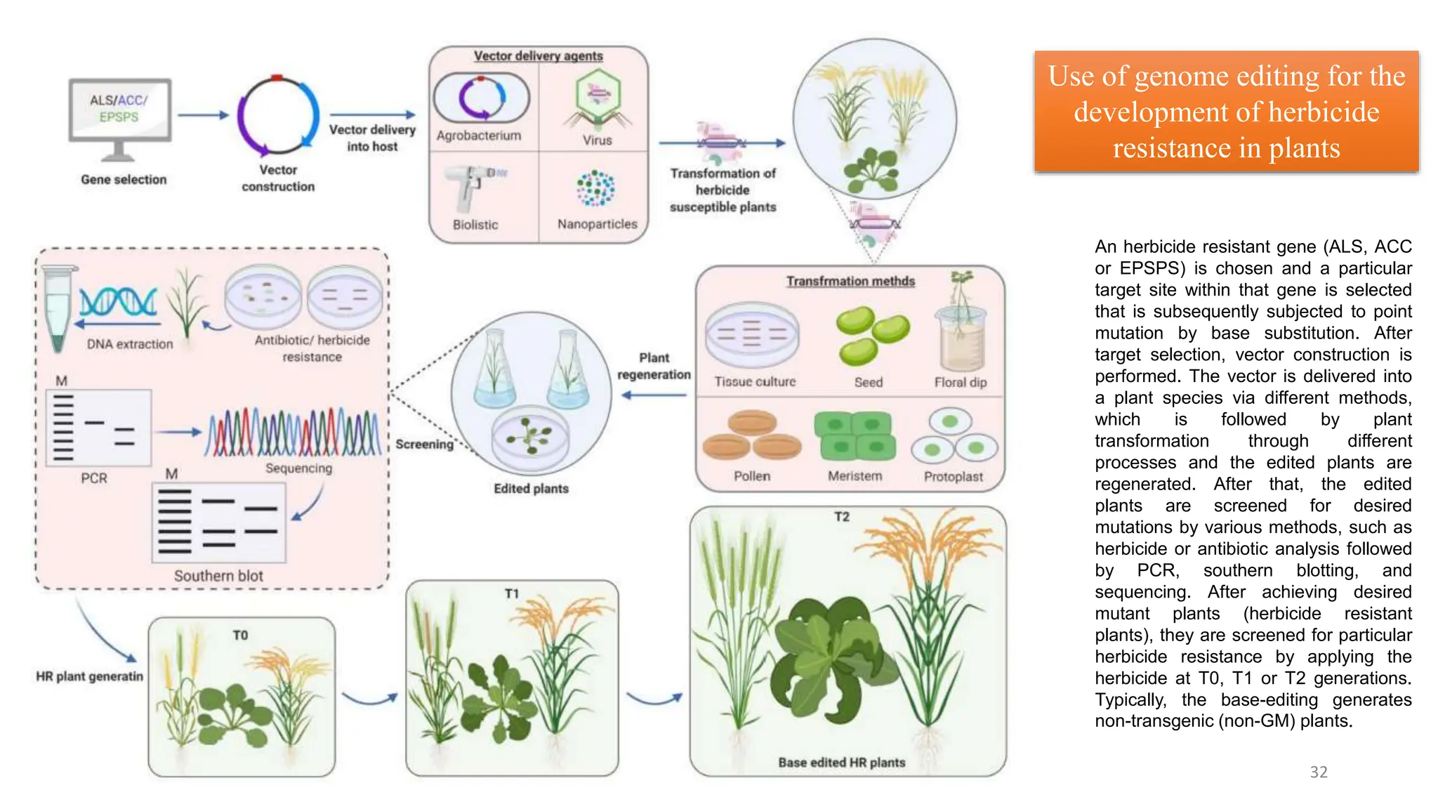 BREEDING FOR RESISTANCE TO BIOTIC STRESS.pptx