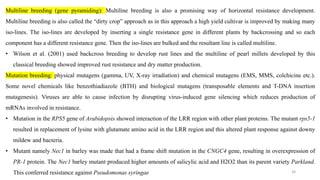 BREEDING FOR RESISTANCE TO BIOTIC STRESS.pptx