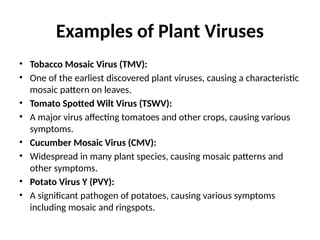 Biotic Stresses.pptx. plant Physiology.in it | PPTX