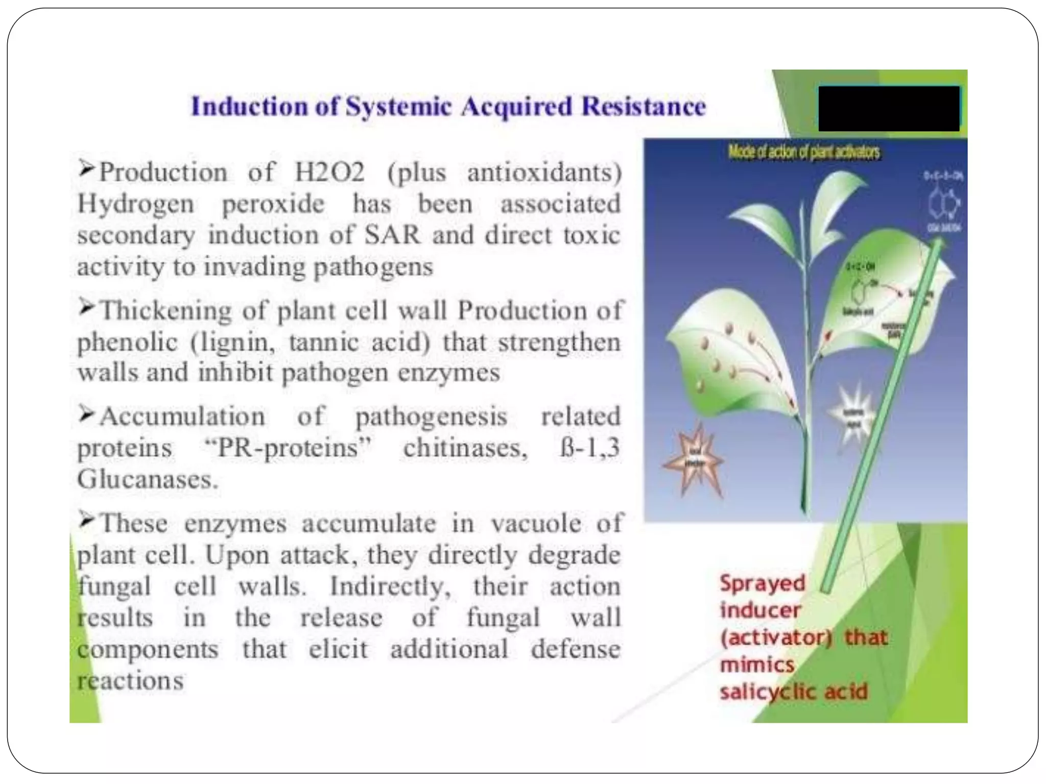Biotic stresses in plants | PPTX