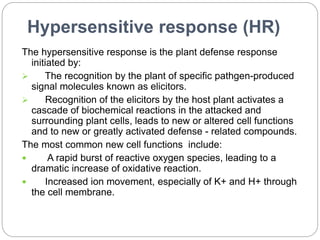 Biotic stresses in plants | PPTX