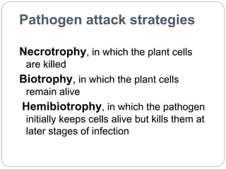 Biotic stresses in plants | PPTX