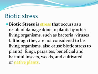 Biotic stress (mujahid hussain 127) | PPTX