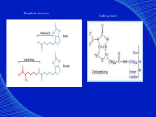 Biotin | PPTX