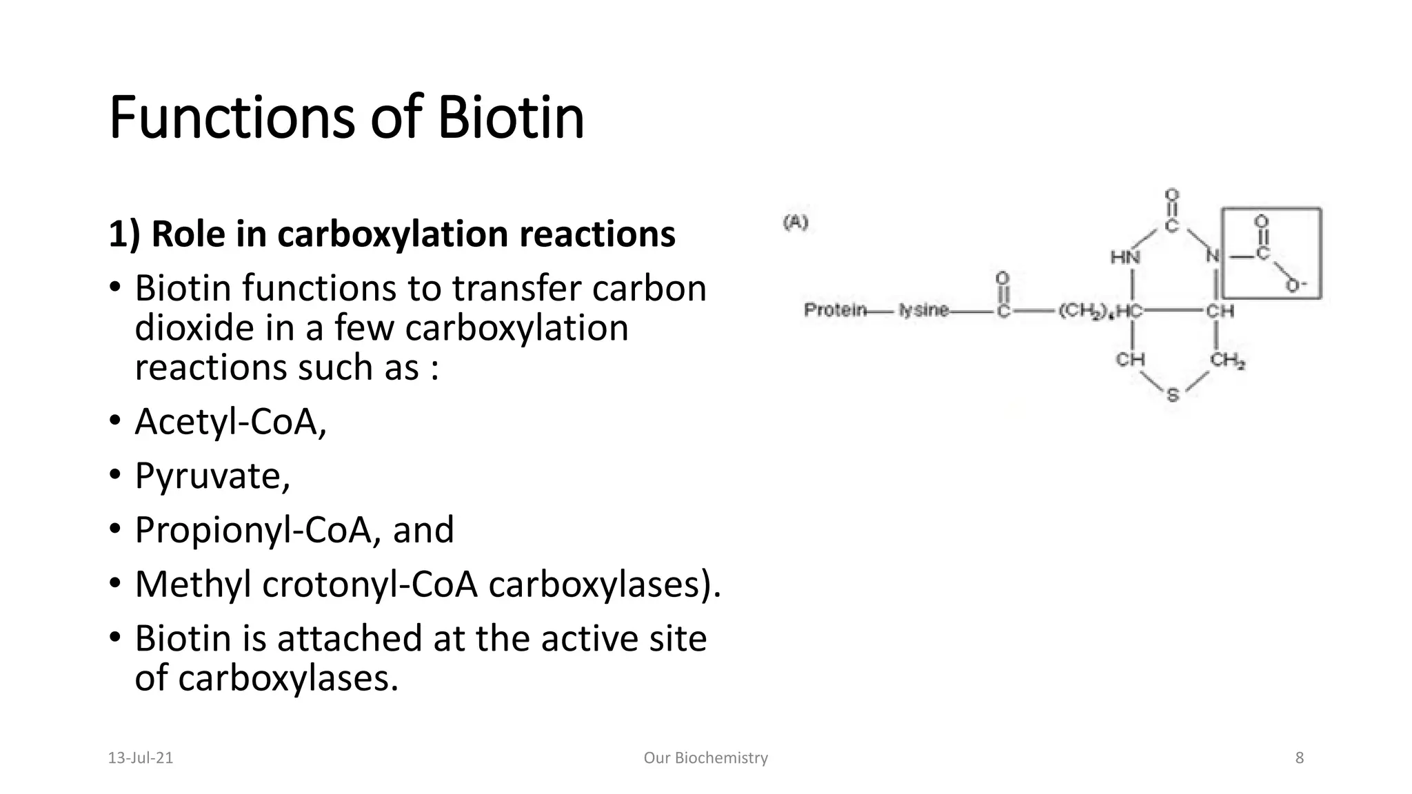 Biotin | PDF