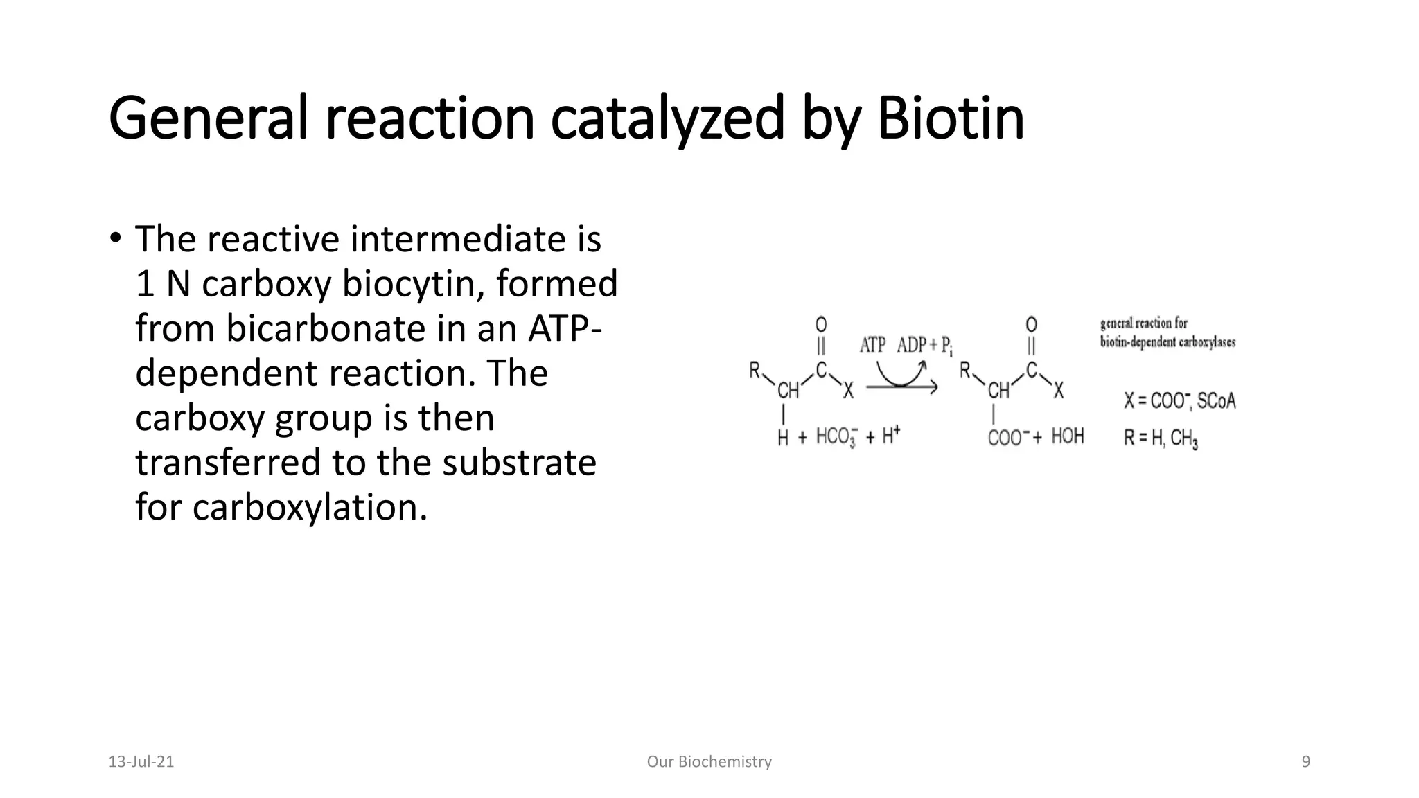 Biotin | PDF