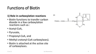 Biotin | PDF