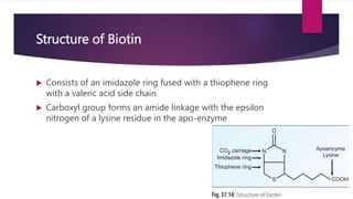 Biotin.pptxxxxxxxxxxxxxxxxxxxxxxxxxxxxxx | PPT