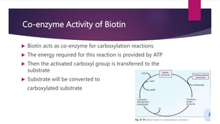Biotin.pptxxxxxxxxxxxxxxxxxxxxxxxxxxxxxx | PPT