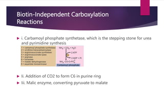 Biotin.pptxxxxxxxxxxxxxxxxxxxxxxxxxxxxxx | PPT