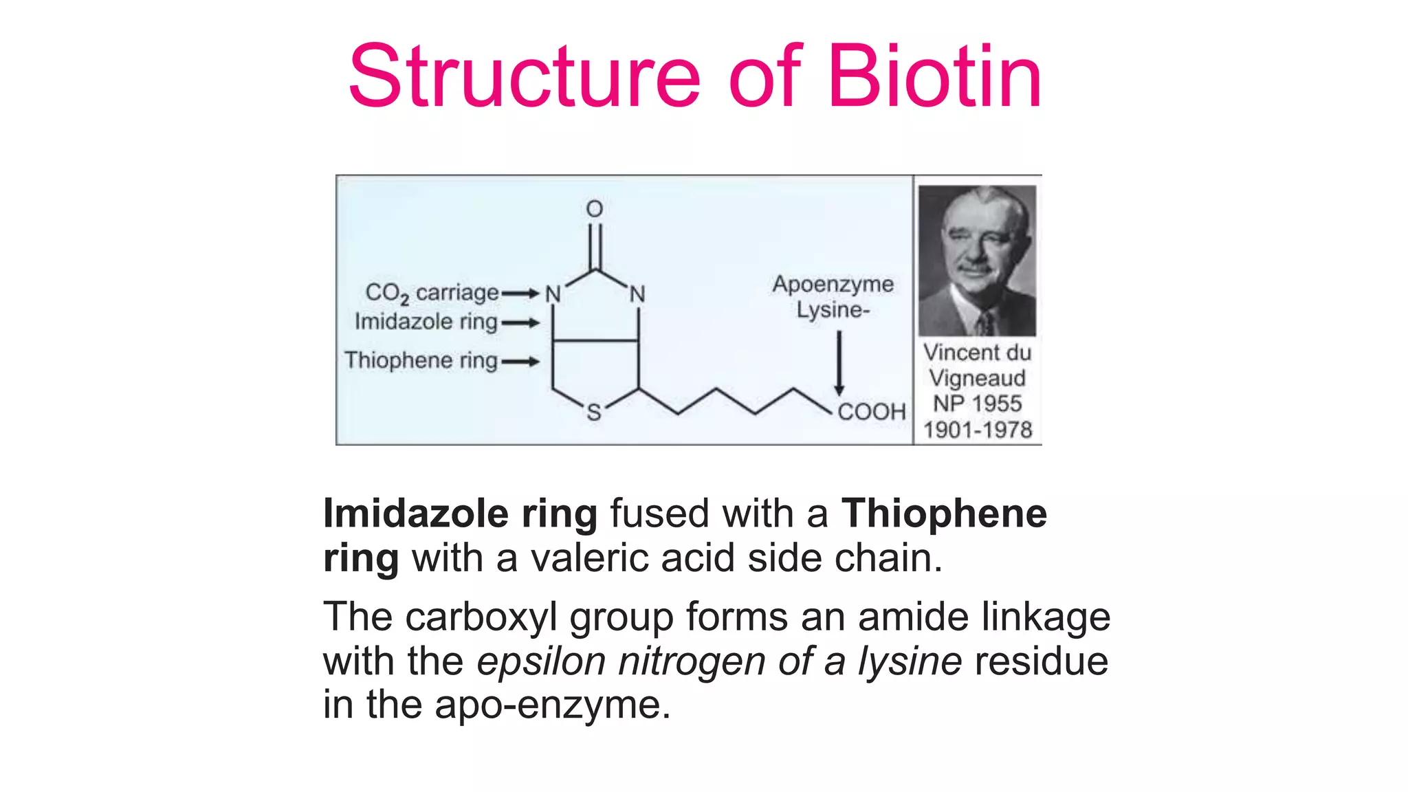 BIOTIN - UG CLASS 2018.pptx