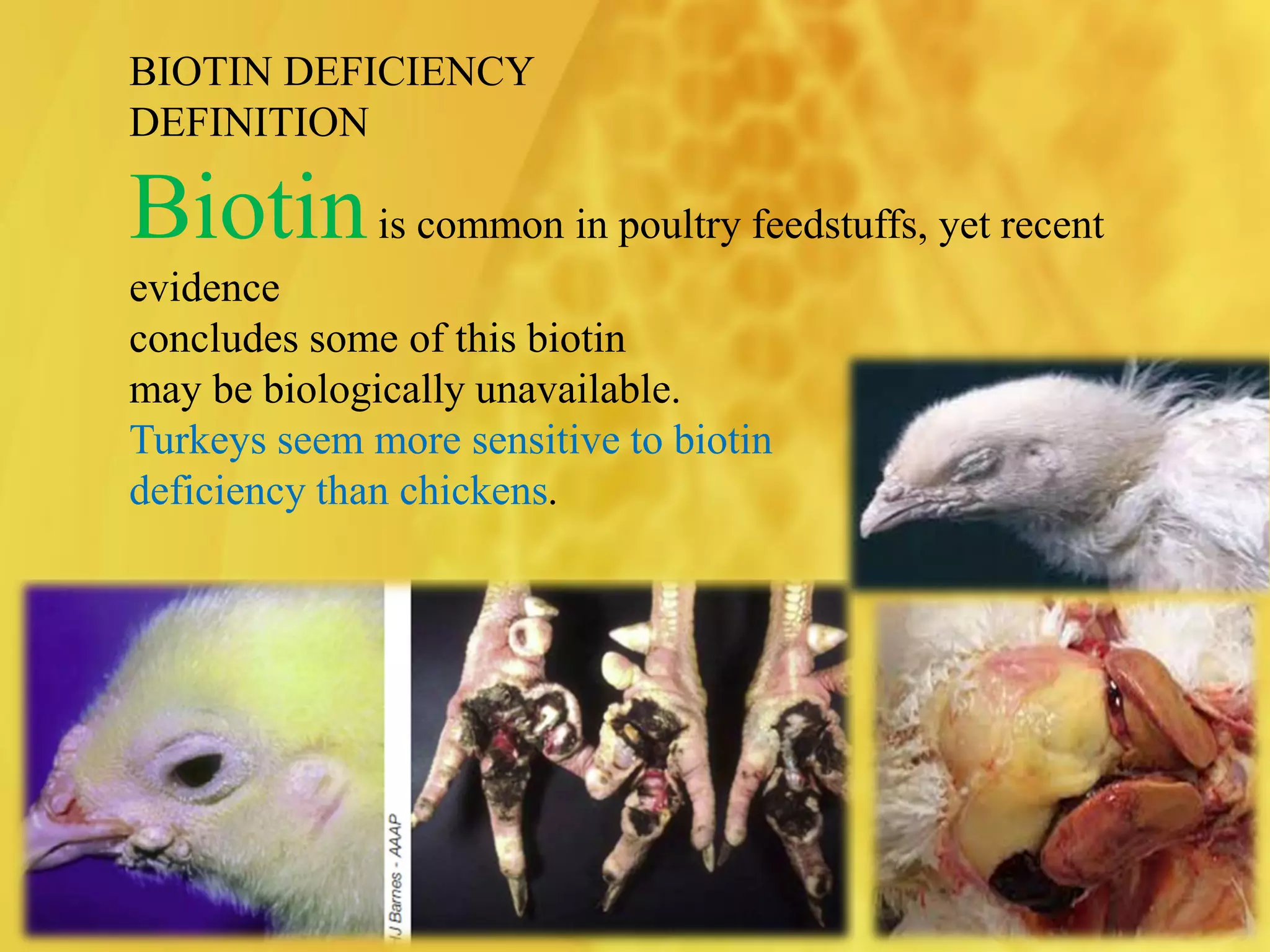 biotin deficiency.pdf