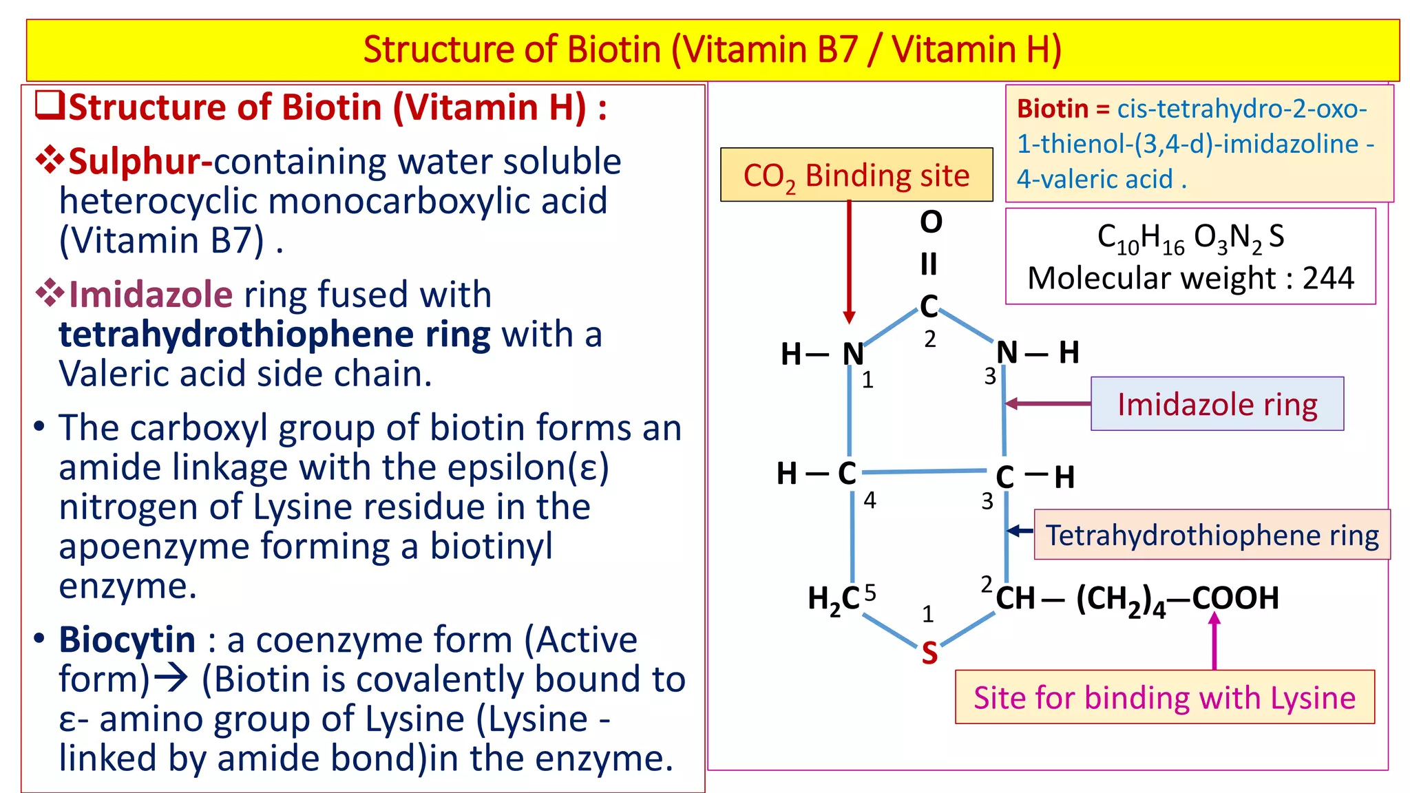 Biotin (vitamin b7) biological functions, clinical indications and its ...