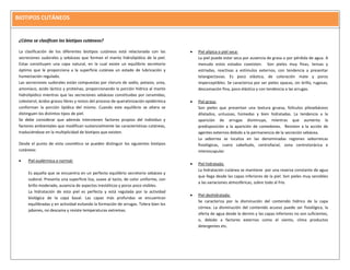 Biotipos cutaneos | PDF