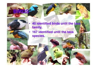 Biotopo presentation | PDF