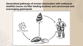 biotoxins are toxin produced by organisms | PPTX