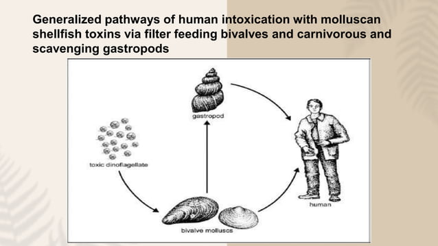 biotoxins are toxin produced by organisms | PPT