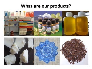 Bio Trade in Nepal | PPTX
