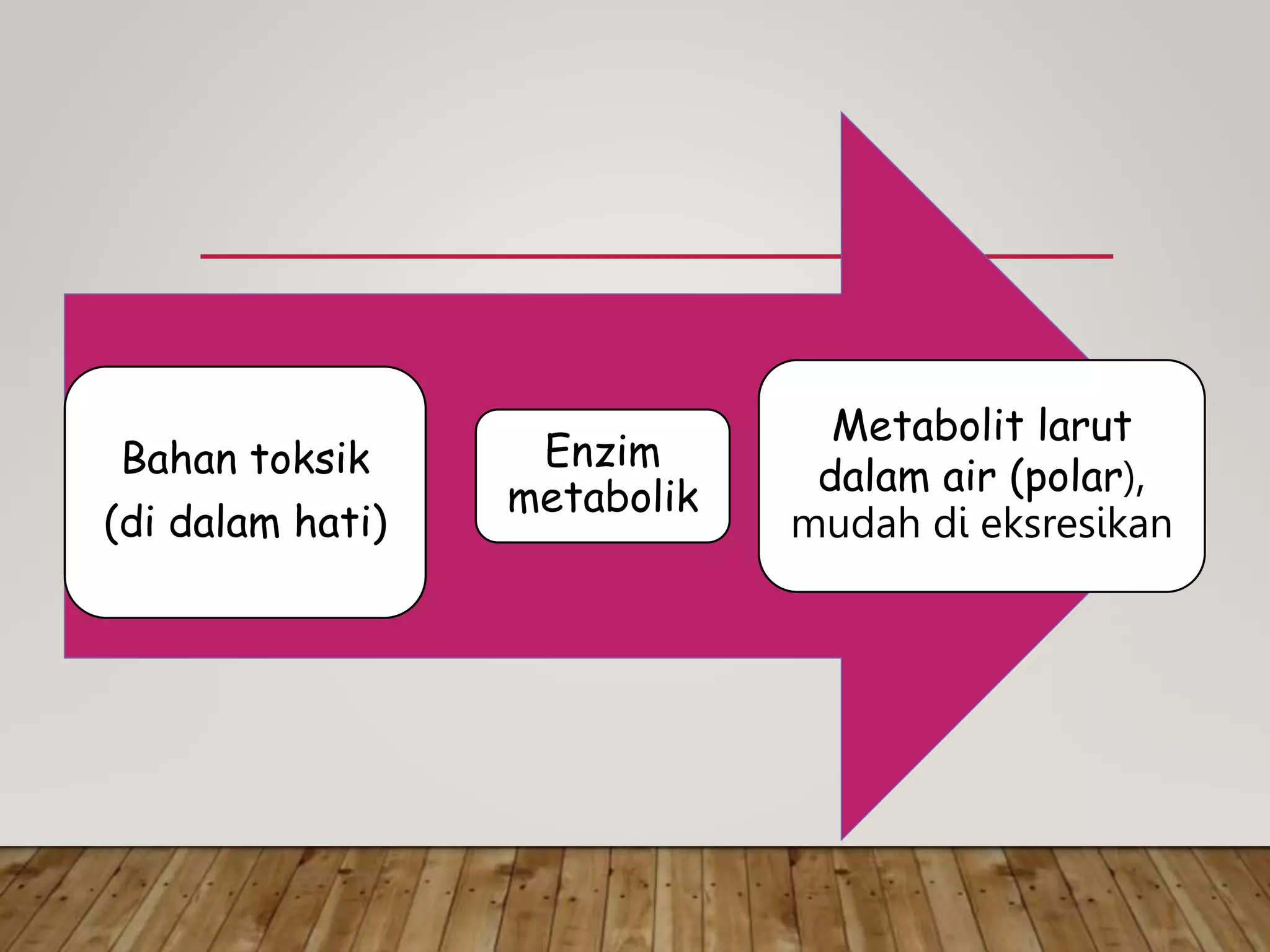 BIOTRANFORMASI TOKSIKAN (1).pptx