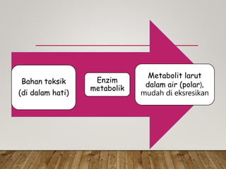 BIOTRANFORMASI TOKSIKAN (1).pptx