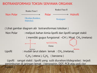 BIOTRANFORMASI TOKSIKAN (1).pptx