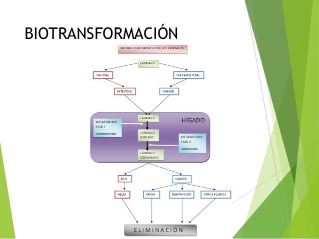 Biotransformación de fármacos