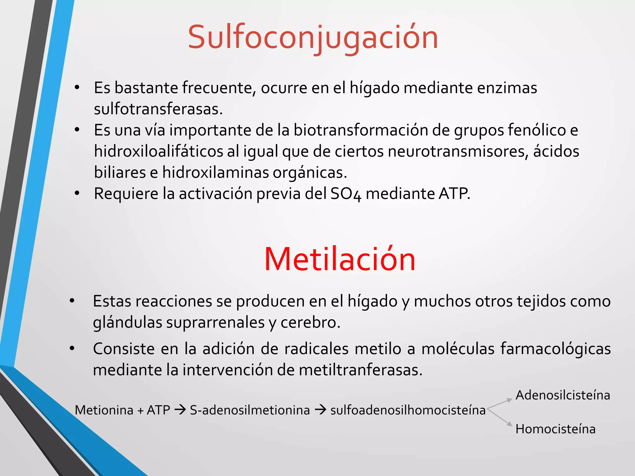 Biotransformación de los fármacos | PPTX