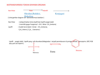 biotransformasi toksin pada mahluk hidup | PPTX