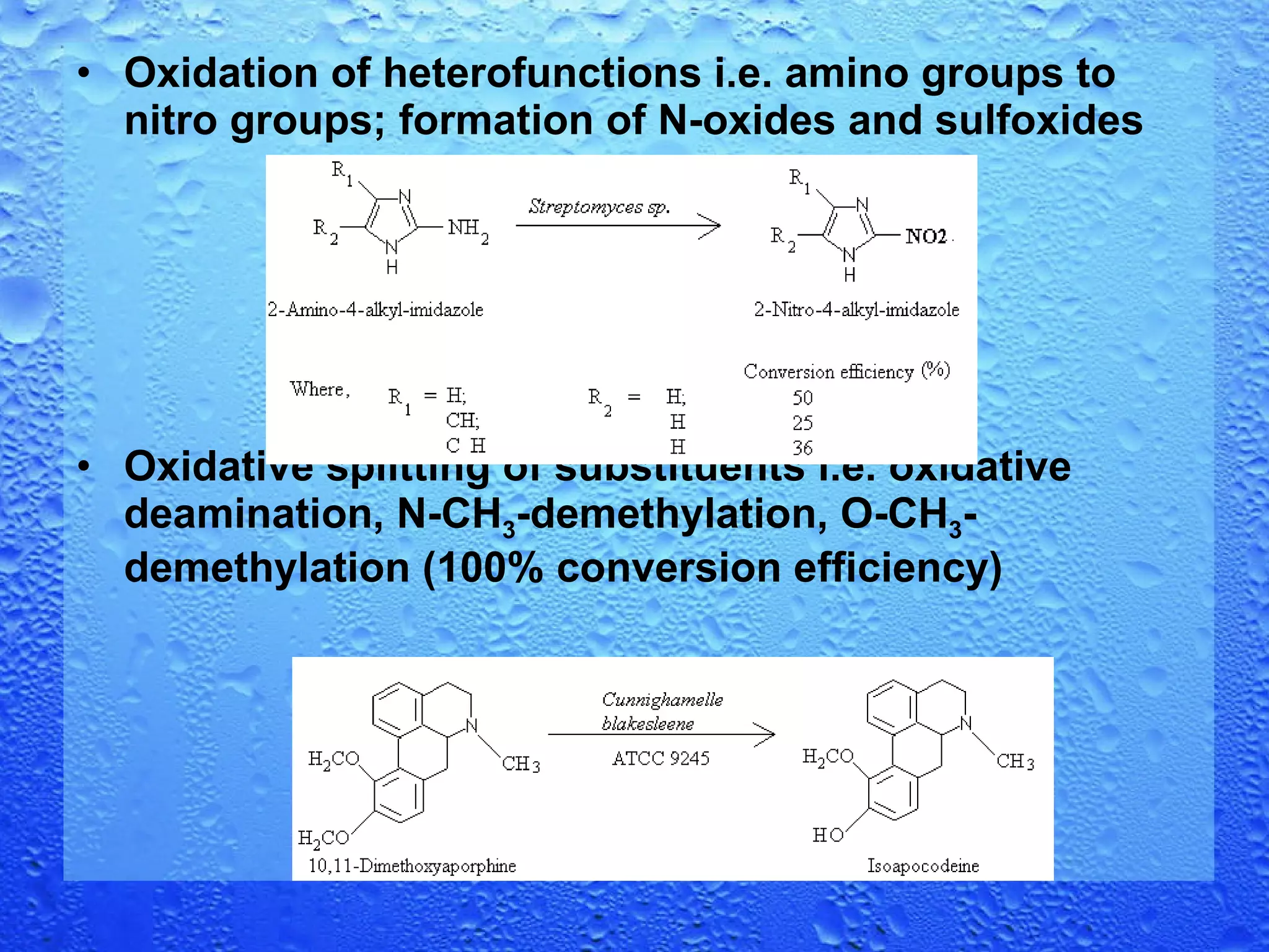 Biotransformation | PPT