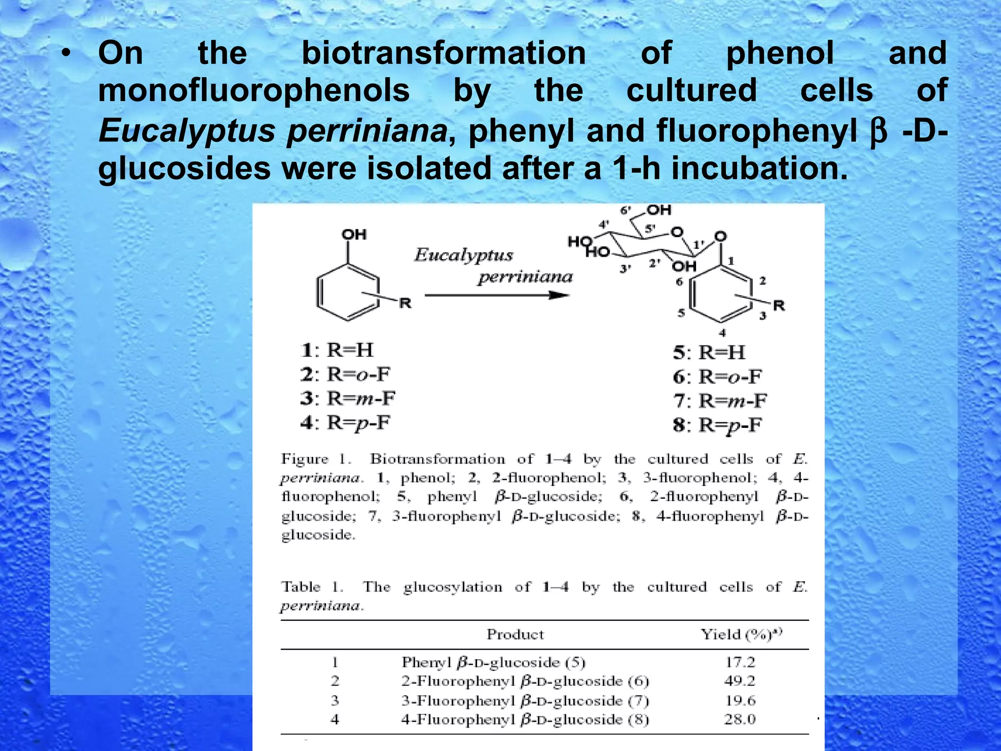 Biotransformation | PPT