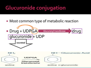Biotransformation | PPTX