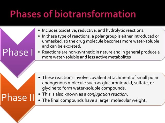 Biotransformation | PPT