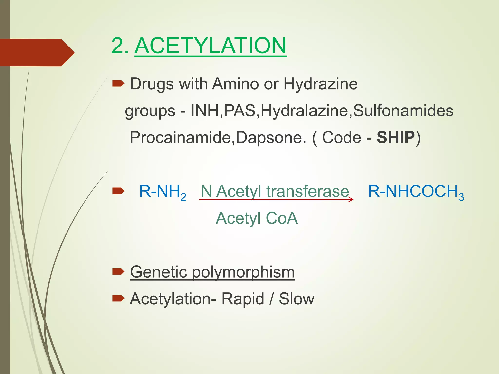 Biotransformation (Drug Metabolism) | PPTX