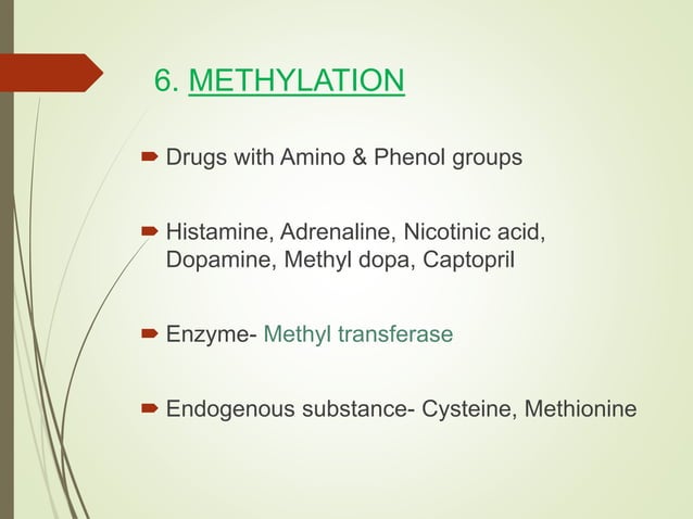Biotransformation (Drug Metabolism) | PPTX