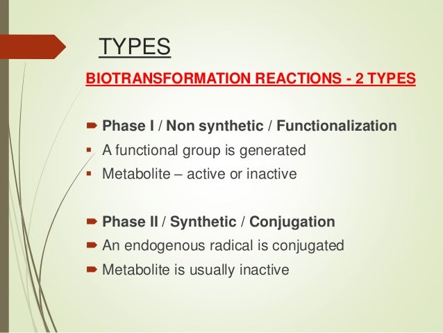 Biotransformation (Drug Metabolism)