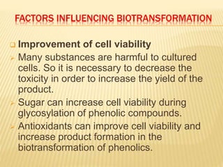 Biotransformation | PPTX