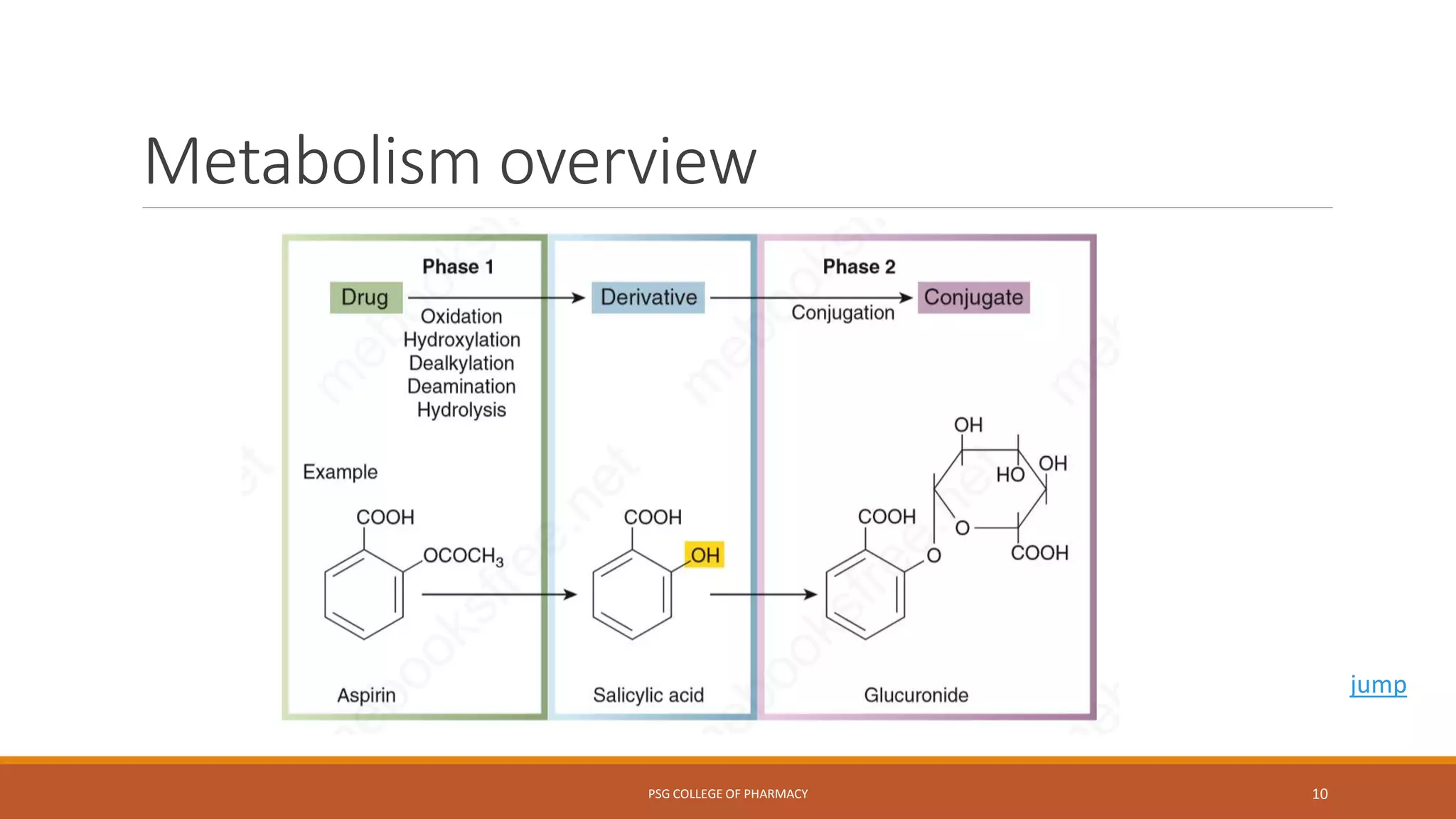 Biotransformation-pharmacology | PPTX
