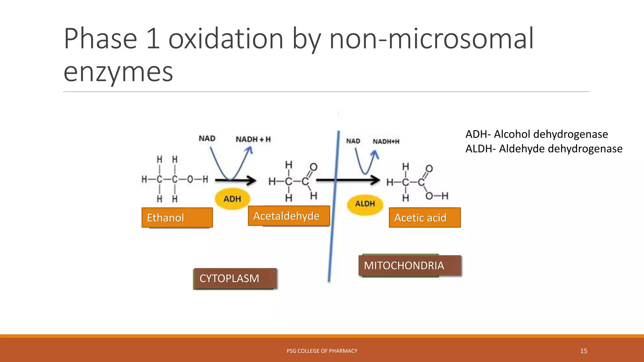 Biotransformation-pharmacology | PPTX