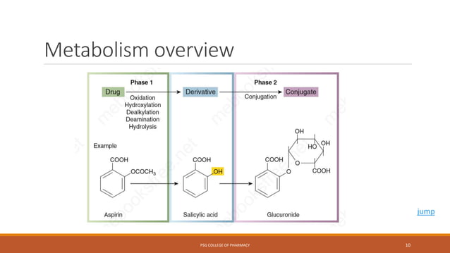 Biotransformation-pharmacology | PPTX