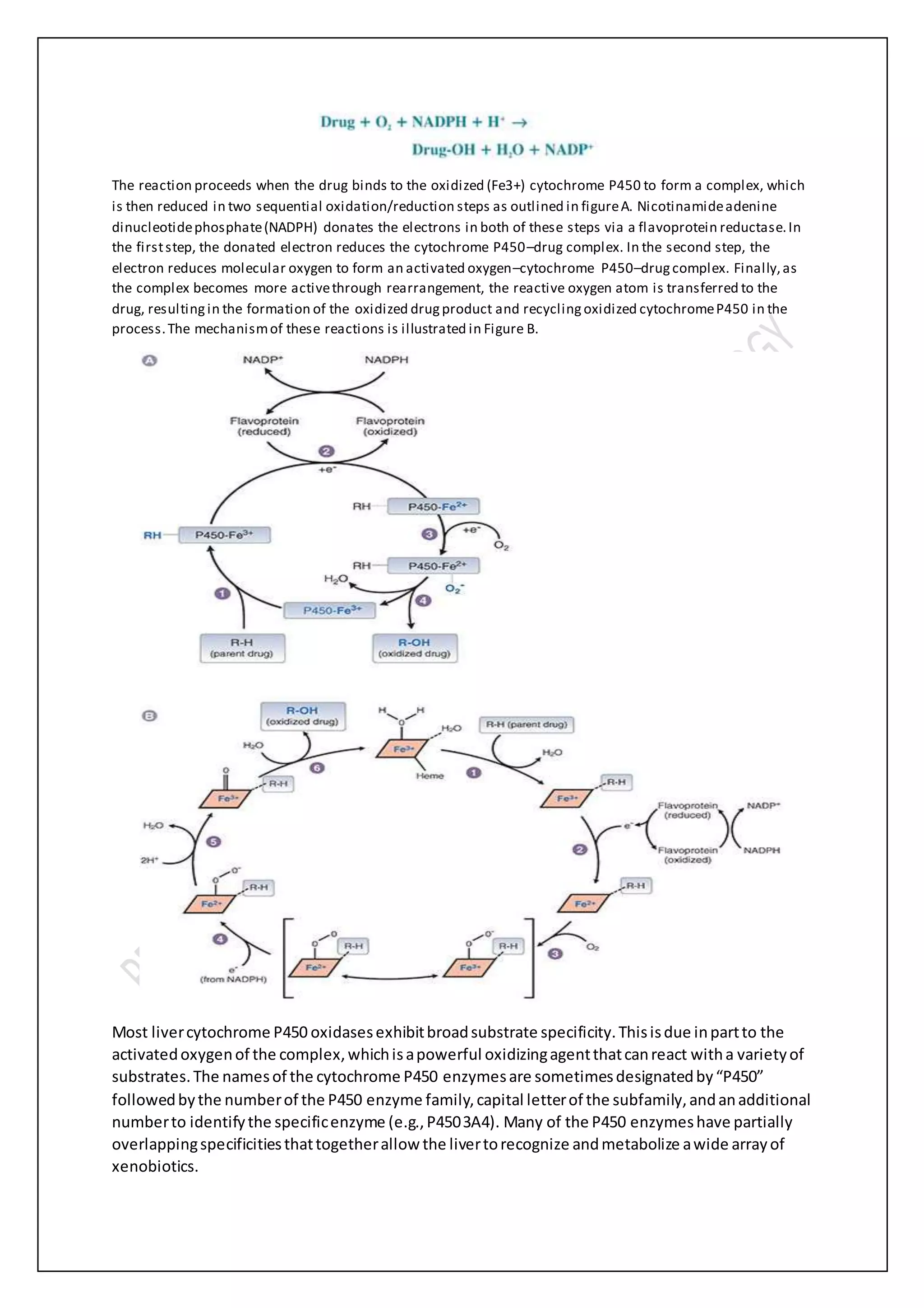 Biotransformation | PDF