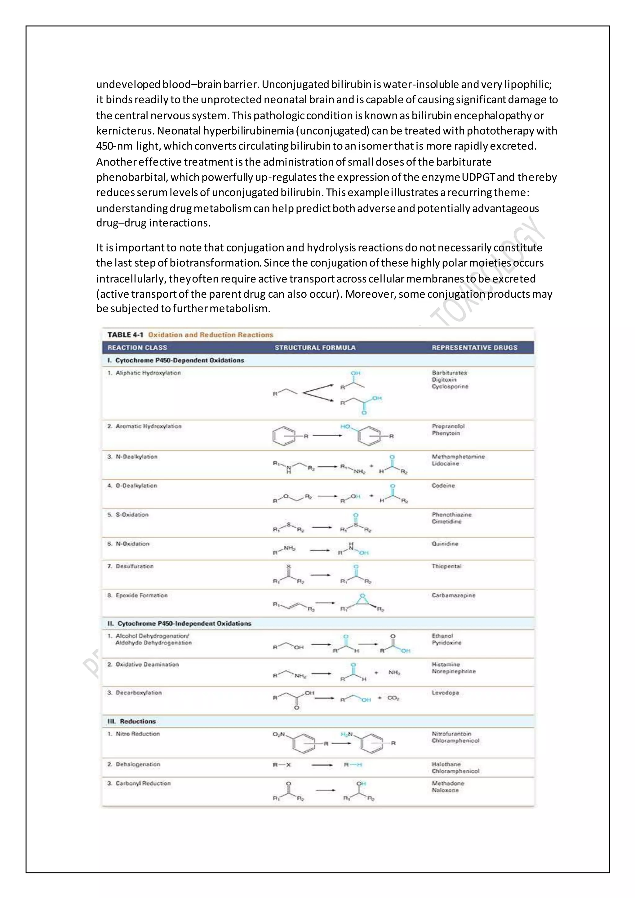 Biotransformation | PDF