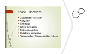 BIOTRANSFORMATION.pdf