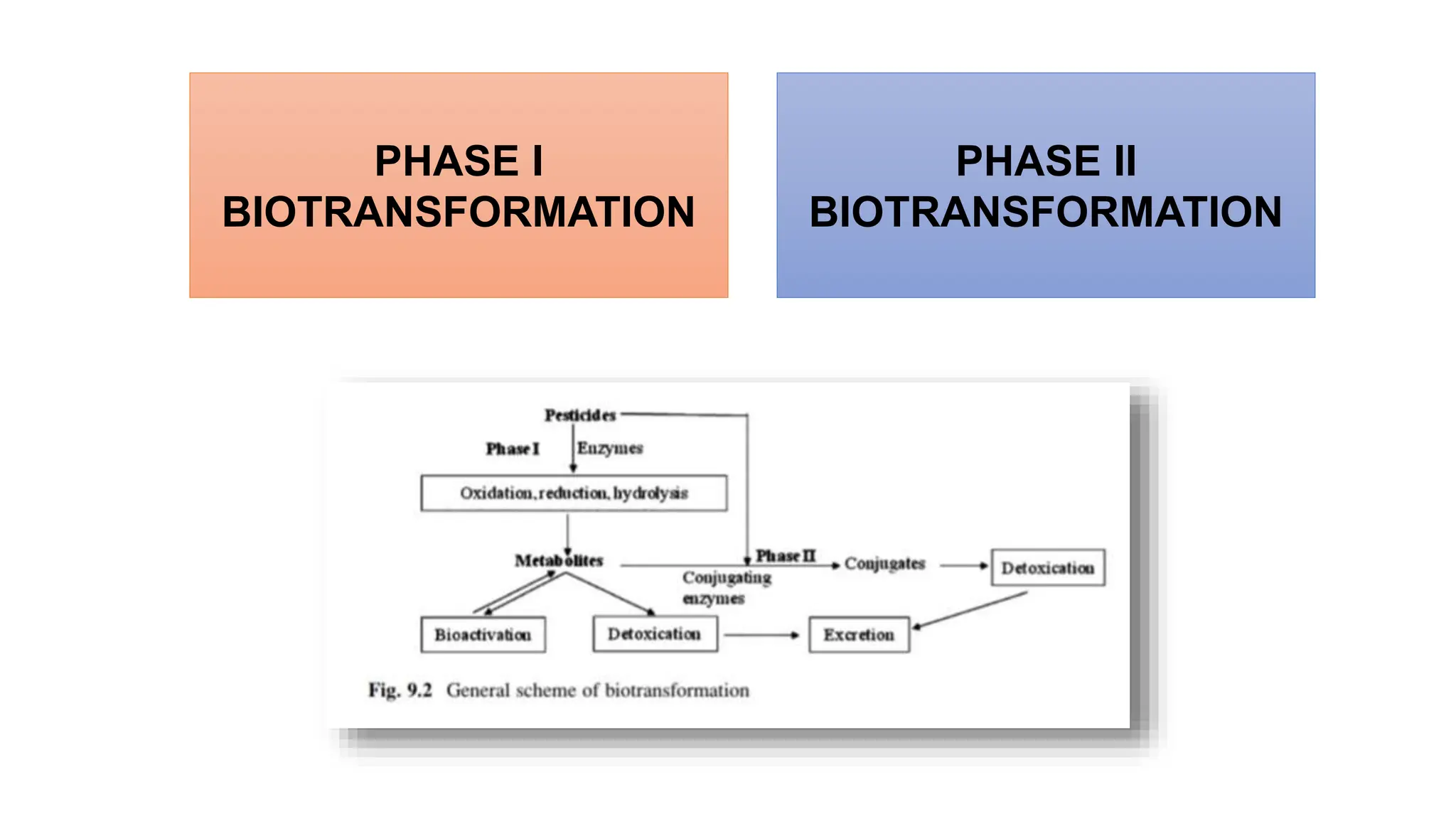 Microbial Biotransformation of Pesticides(xenobiotics).pptx