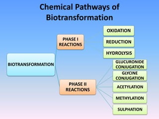 Biotransformation copy | PPT