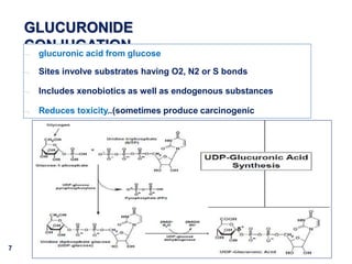 Biotransformation01 abtphd17 | PPTX